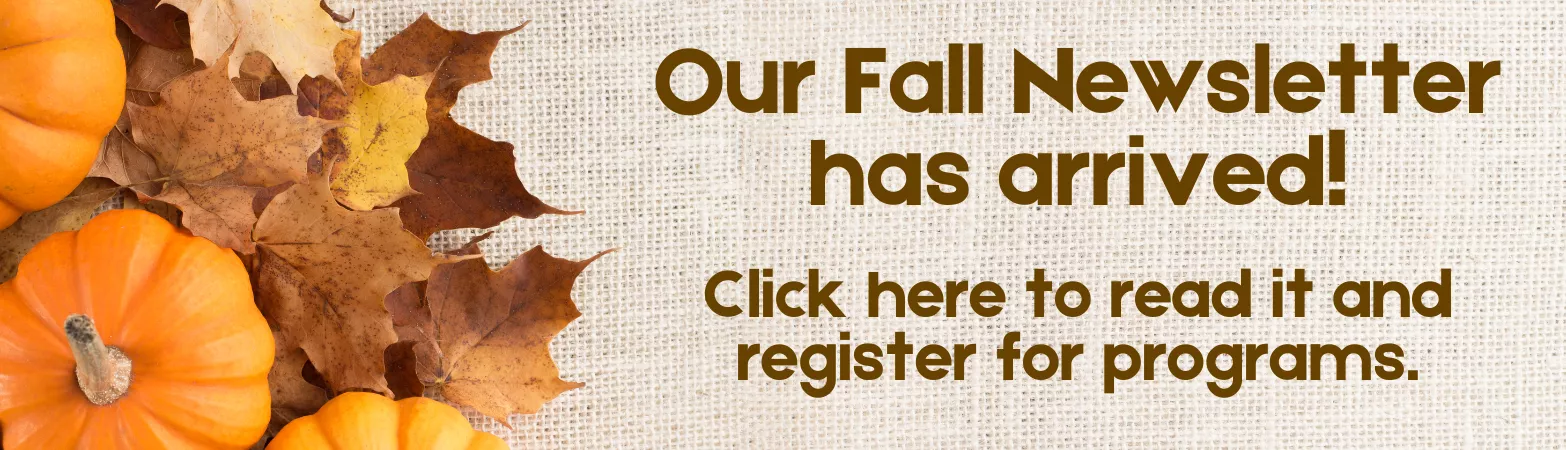 Homepage | Lemont Public Library